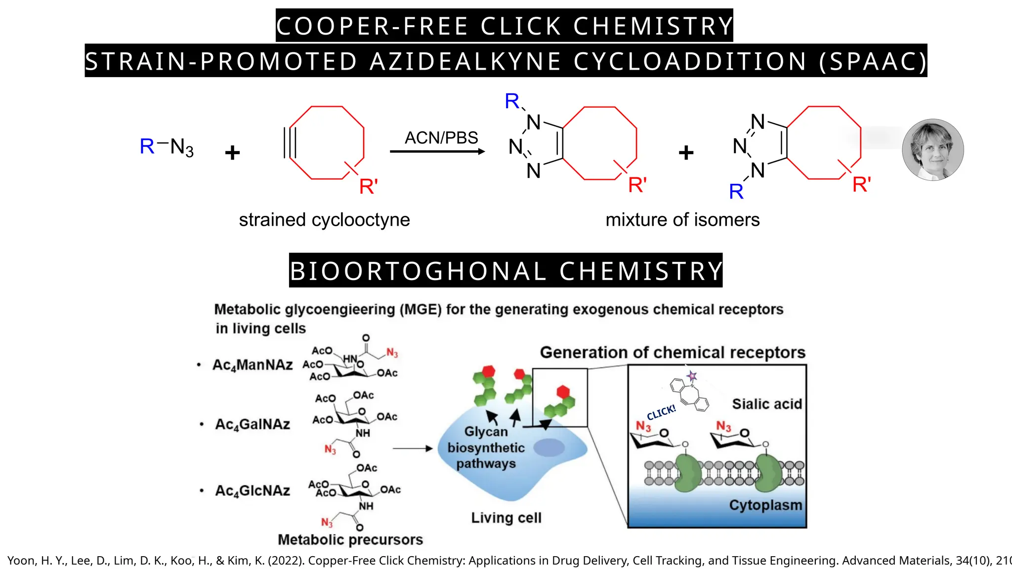 Click Chemistry and biorthogonal chemistry | PPTX