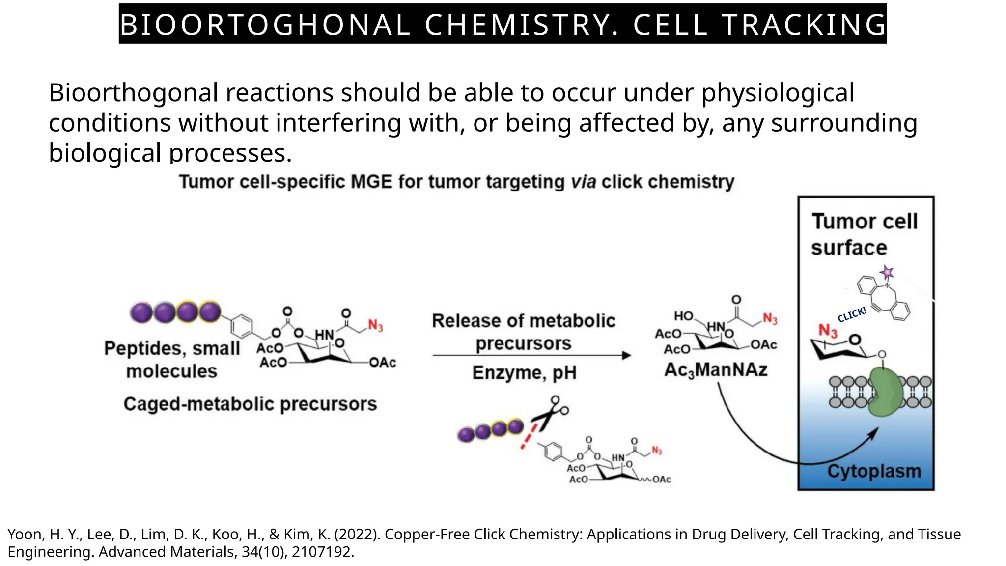 Click Chemistry and biorthogonal chemistry | PPTX