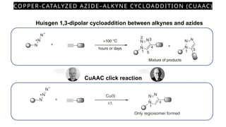 Click Chemistry and biorthogonal chemistry | PPTX | Chemistry | Science