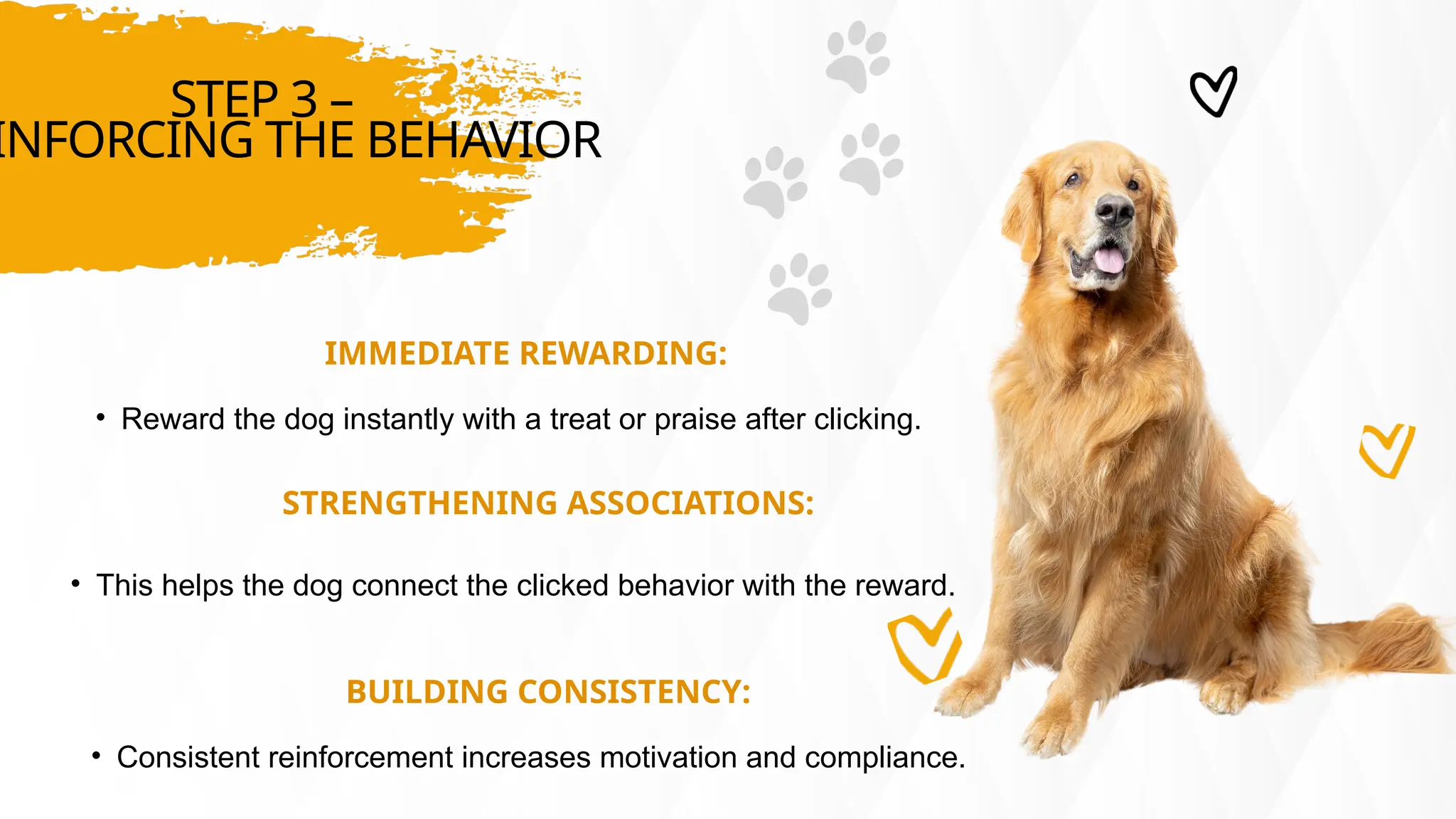Clicker Training for Dogs: Transforming Behavior with Positive ...