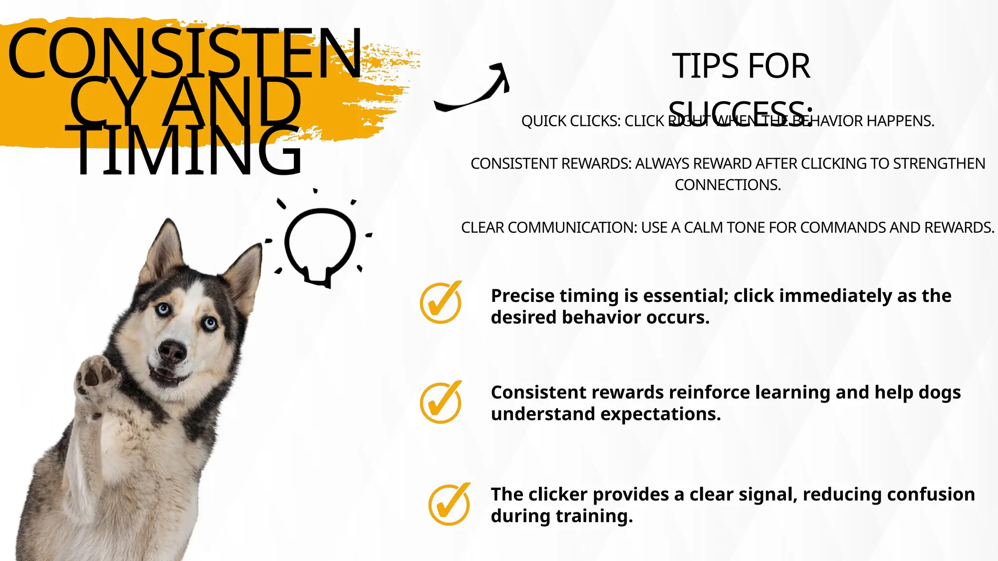 Clicker Training for Dogs: Transforming Behavior with Positive ...