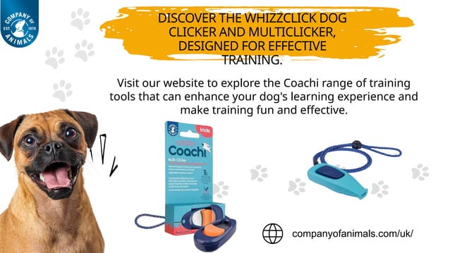 Clicker Training for Dogs: Transforming Behavior with Positive ...