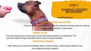 Clicker Training for Dogs: Transforming Behavior with Positive ...