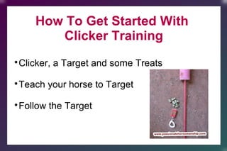 Clicker Training Horses | PPT | Equine Sports | Sports