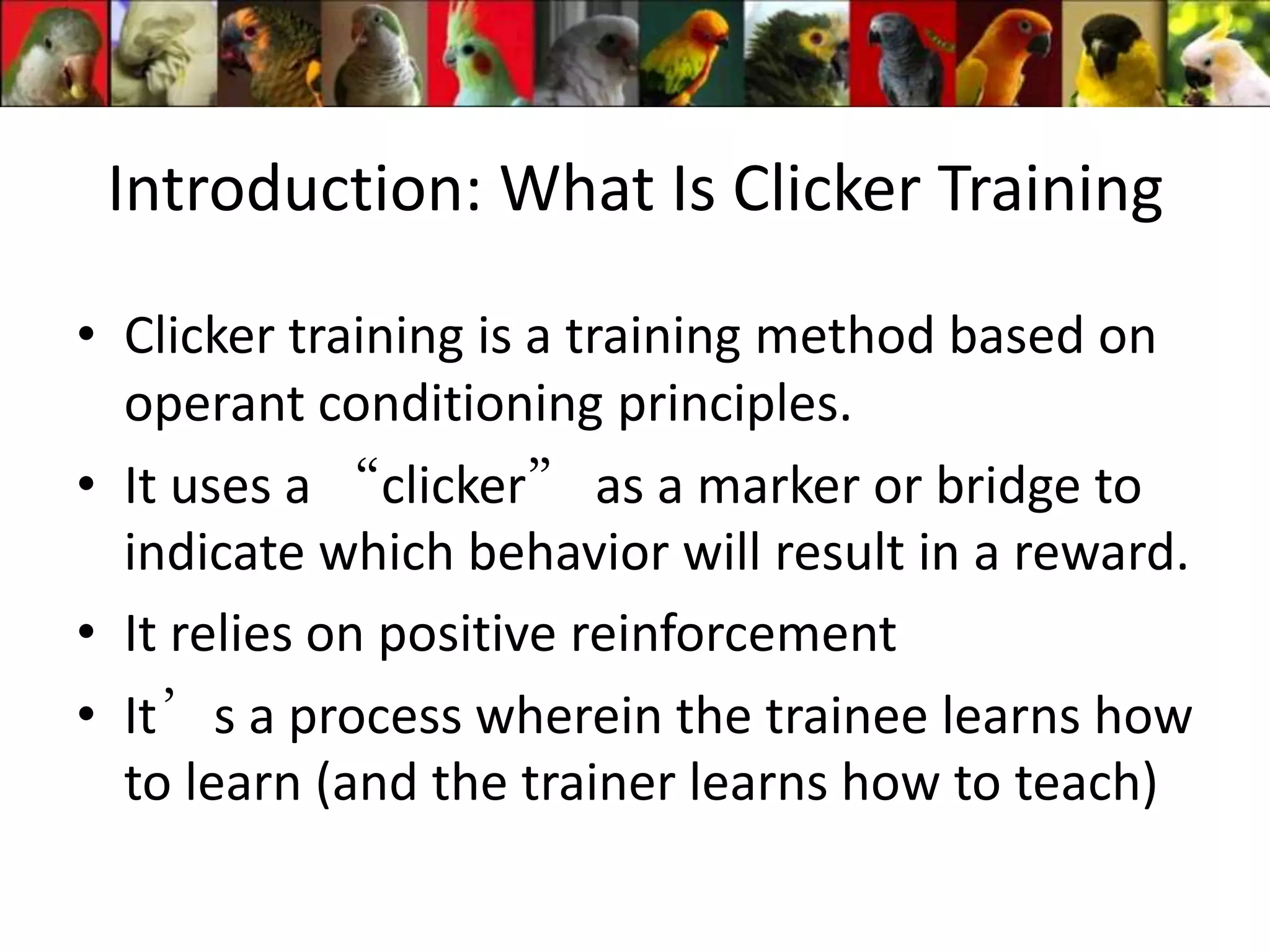 Behavior Workshop: Clicker Training for Parrots | PPTX