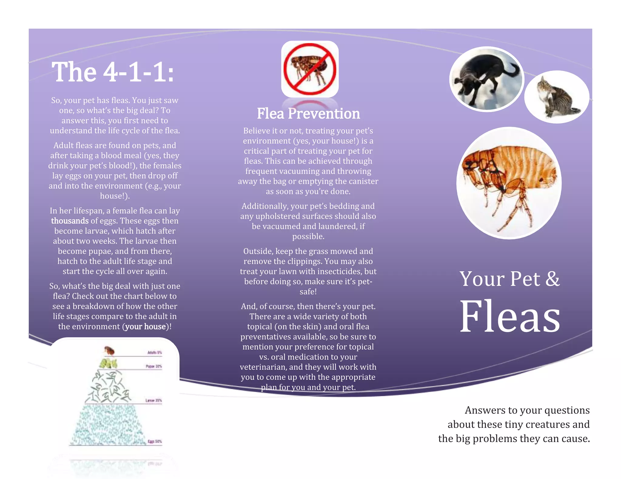Client Handout - Fleas | DOCX