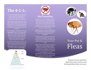 Client Handout - Fleas | DOCX