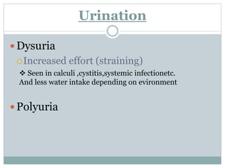 Client oriented approach for physical examination of animals | PPT
