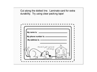 Clifford Colouring Pages and Kids Colouring Activities | PPSX