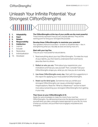 Clifton Strengths - Sean Donnelly | PDF