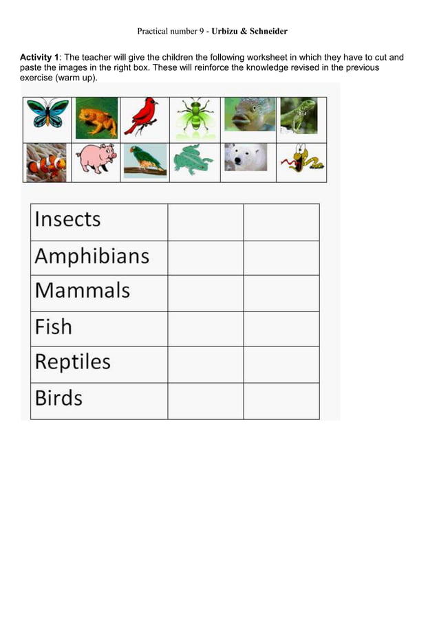 CLIL class - Animals | DOCX | Pets