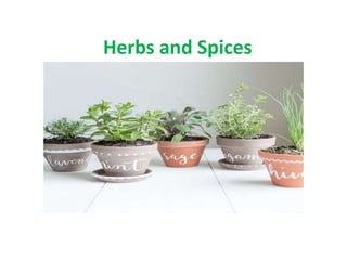Spices and Herbs Lecture | PPTX