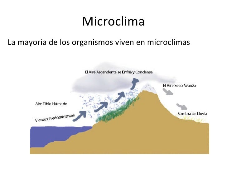 Clima