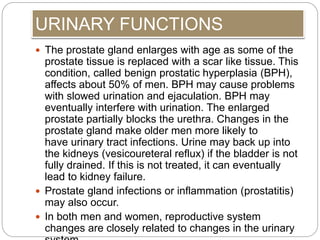 Climacteric changes in male reproductive system | PPTX