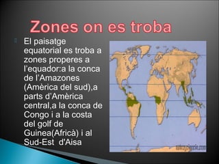 Clima equatorial 1r ESO D | PPT