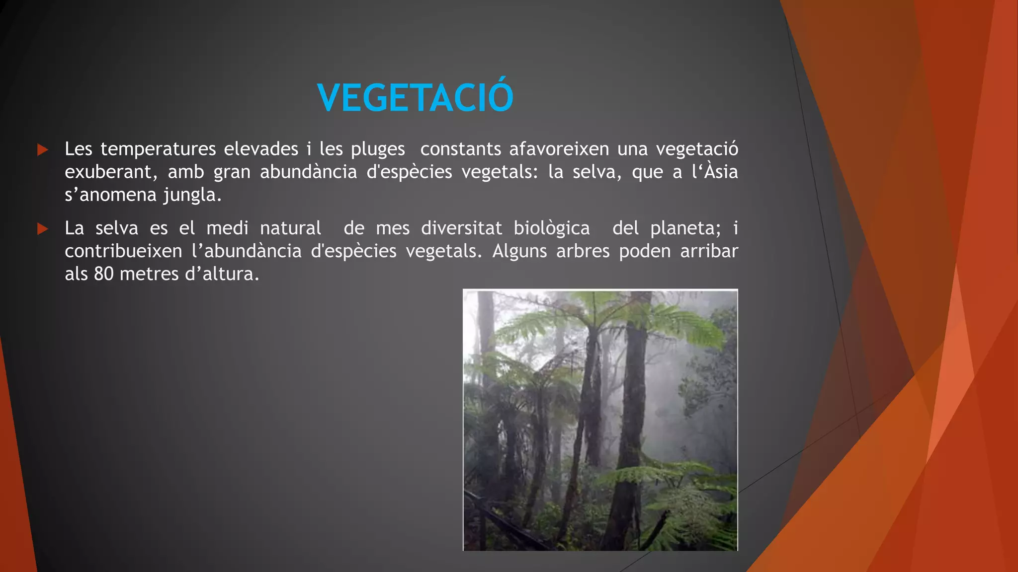 Clima equatorial (Jon, Jose, Izan) | PPT