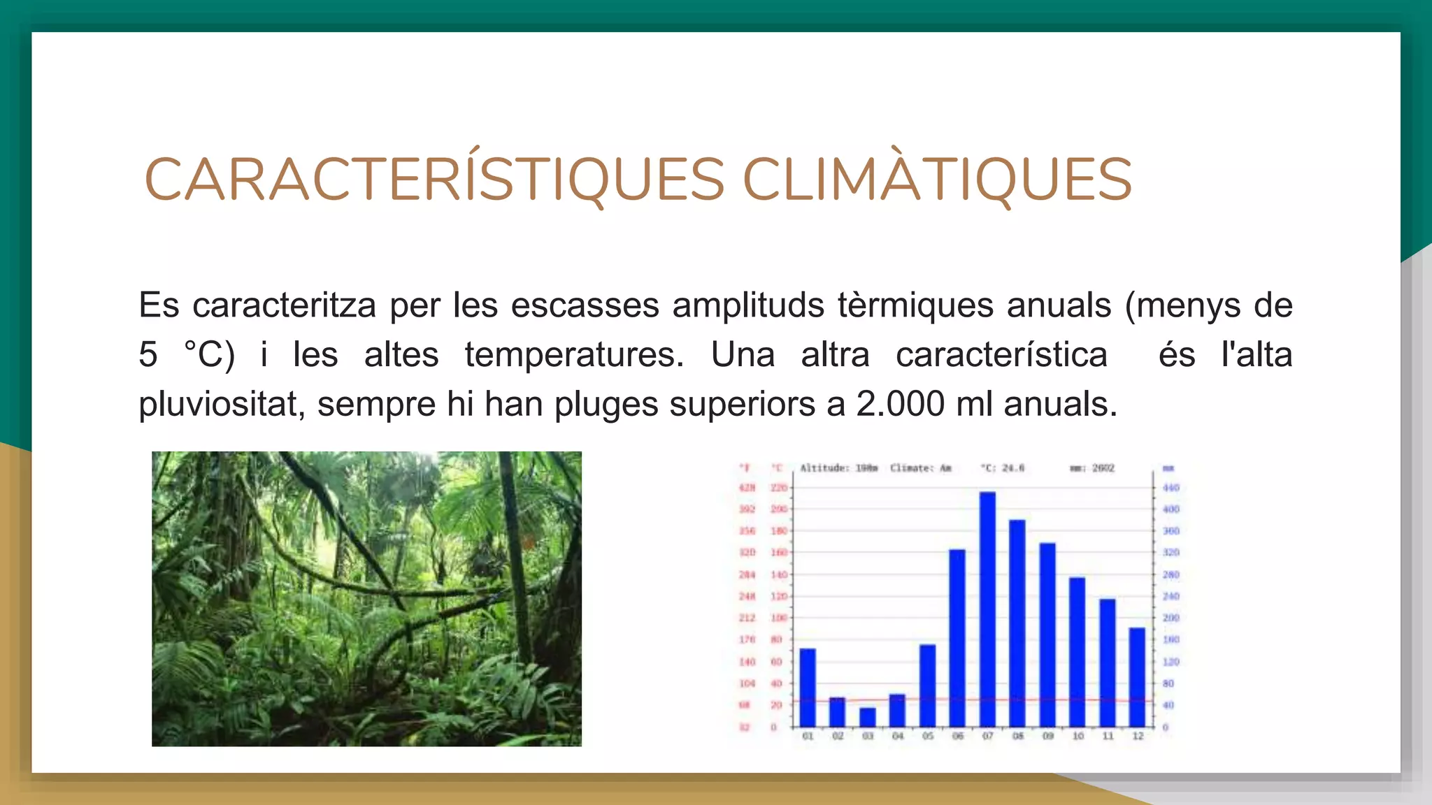 Clima equatorial | PPTX