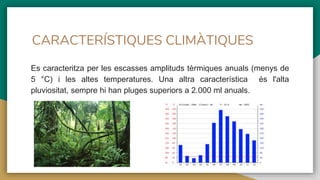 Clima equatorial | PPTX