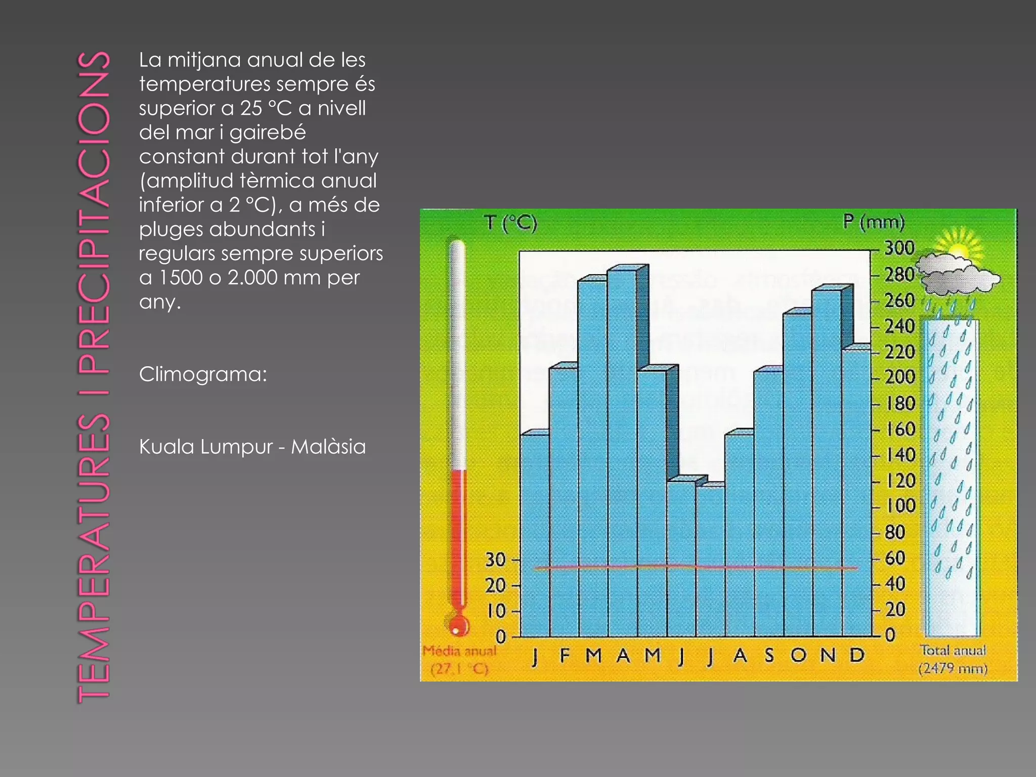 Clima equatorial[1] | PPT