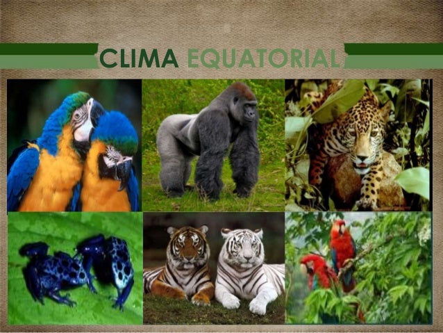 Clima equatorial seminario