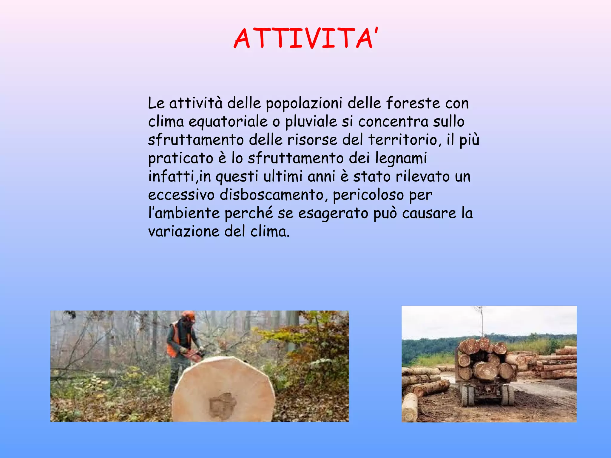 Clima foresta pluviale | PPT