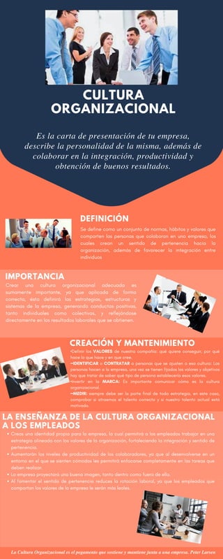 Infografa Tipos De Cultura Organizacional En Las Empresas