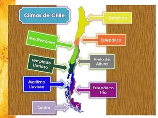 climas de chile.ppt