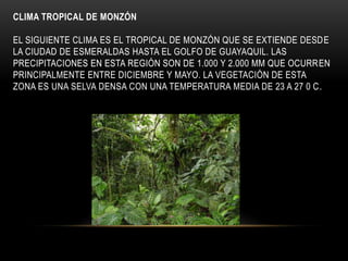 Climas del ecuador | PPTX