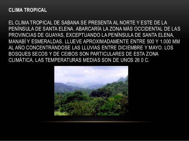 Climas De Ecuador: Clima Tropical De Monzón – PWPK
