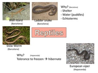 Haparanda-Barcelona: Climate Differences and Effects | PPTX