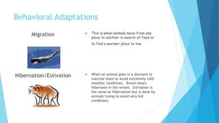 Climate and adaptation | PPT