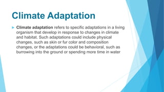 Climate and adaptation | PPTX