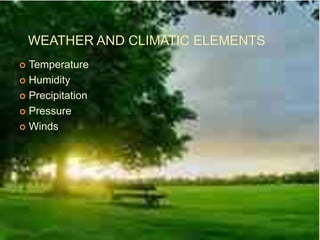 CLIMATE | PPTX | Weather | Science