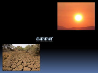 Climate - sst class9 | PPTX