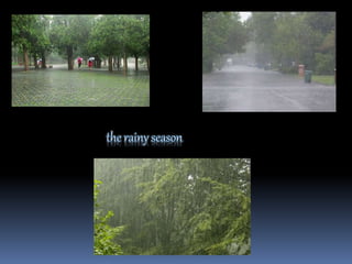 Climate - sst class9 | PPTX