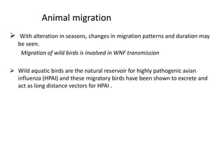 Climate change and zoonoses | PPTX | Infectious Diseases | Diseases and ...