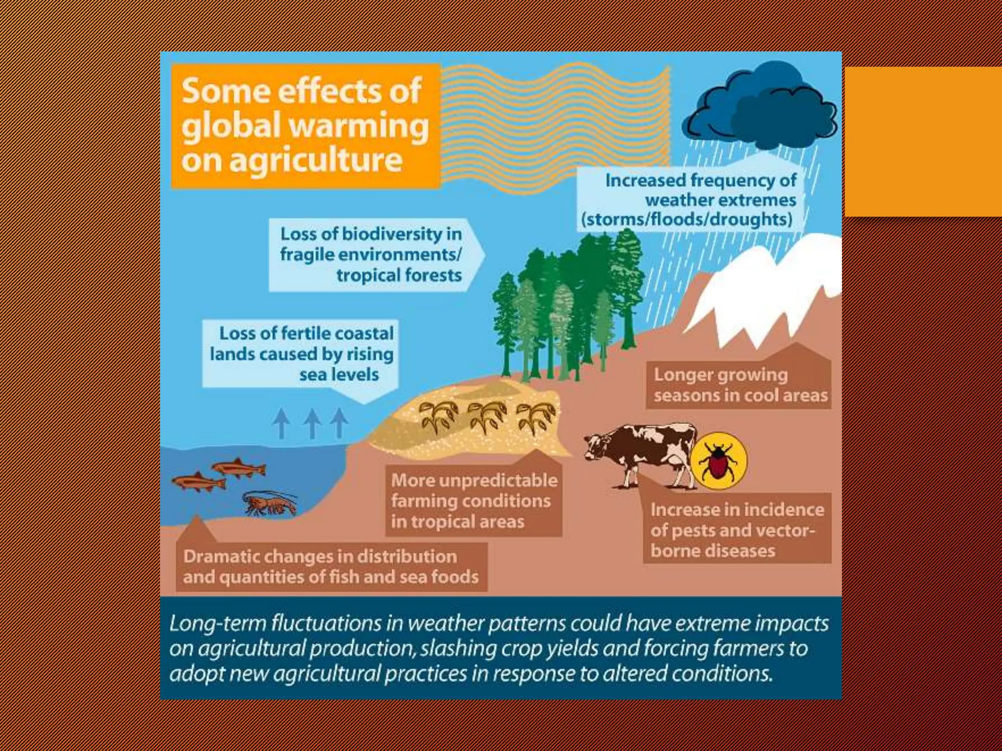 climate.ppt | Free Download