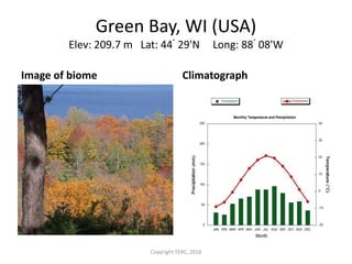 Temperate Woodland And Shrubland Climate