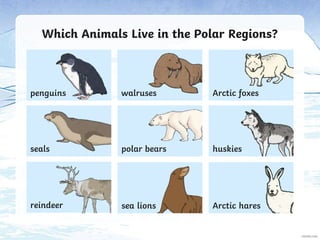 climate-change-in-the-polar-regions-powerpoint_ver_3.ppt