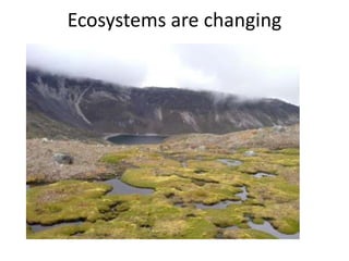 climate-change-pres231865830900896-3.ppt