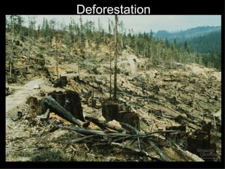 Climate Change Presentation | PPT