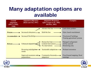 Climate changes impact on coastal regions | PDF