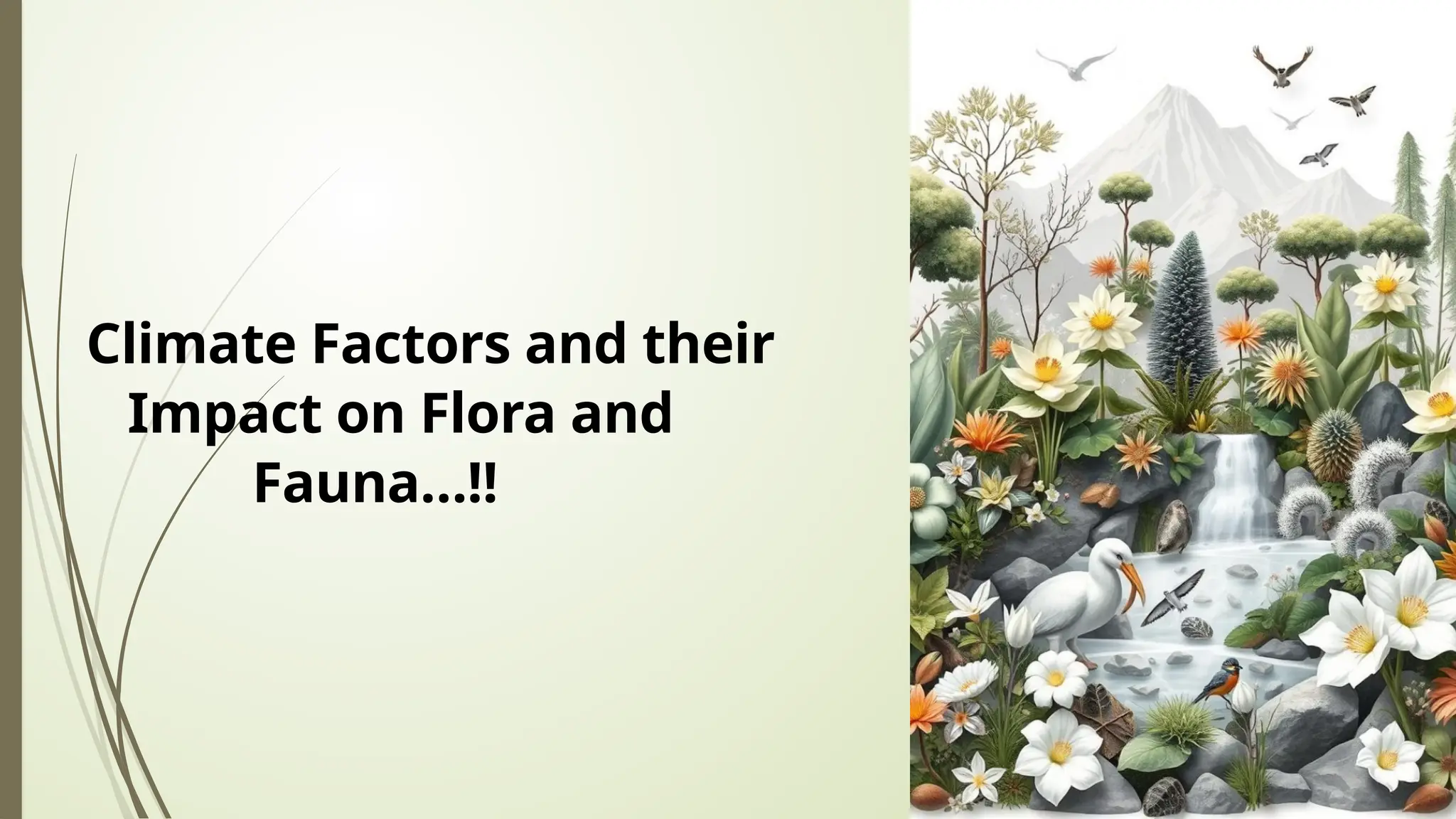 Explanation of different types of climatic factors and their impact on ...