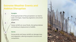 Explanation of different types of climatic factors and their impact on ...