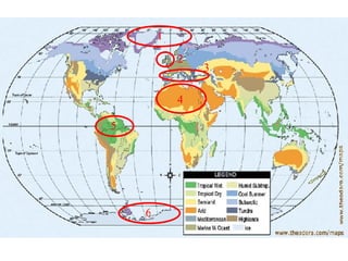 Climate Introduction | PPT | Geography | Science