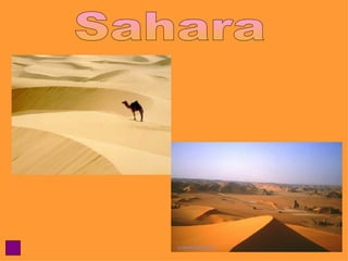 Climate Introduction | PPT | Geography | Science