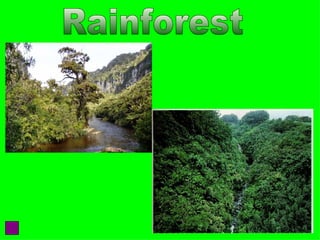 Climate Introduction | PPT | Geography | Science