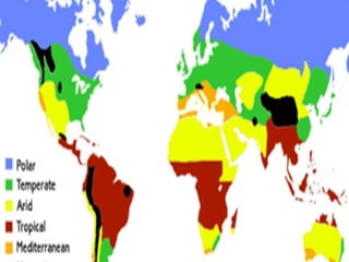 Climate philippines-types 1 b | PPT