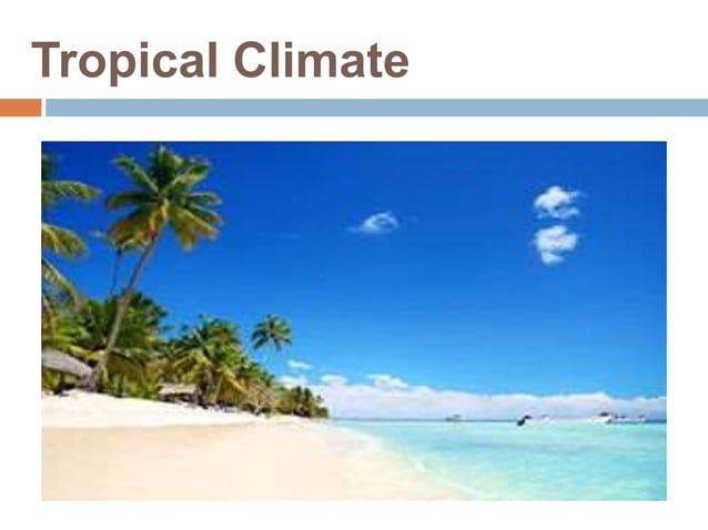 Climate philippines 1 a | PPTX | Weather | Science