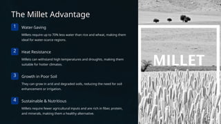 Climate-Resilience-Millets-vs-Rice-and-Wheat.pptx